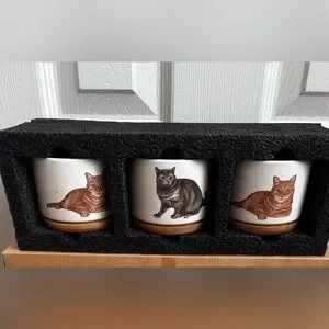 gift a girl | Accents | Mini Cat Planters Set Of 3 New | Poshmark